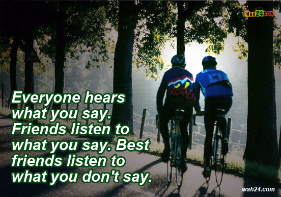 Friendship Drive Bicycle