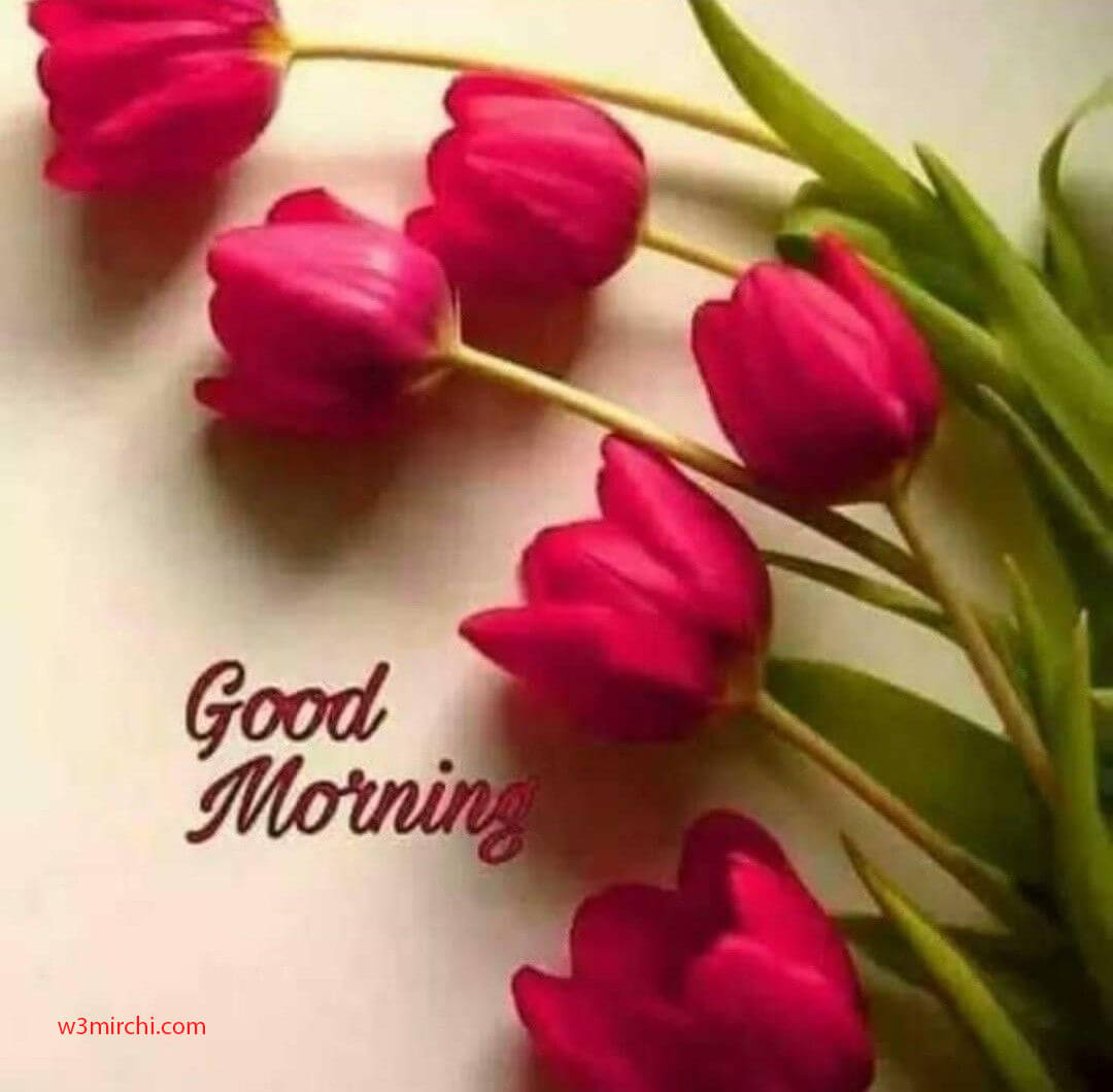 Flower Good Morning Images - Flowers Good Morning Images