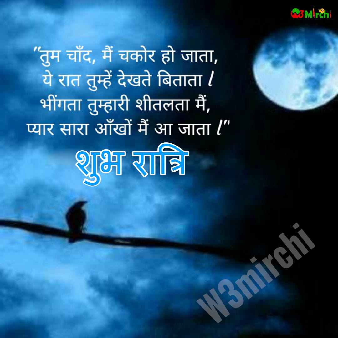Good Night Shayari तुम चाँद, मैं चकोर हो जाता, - Good Night Shayari Images
