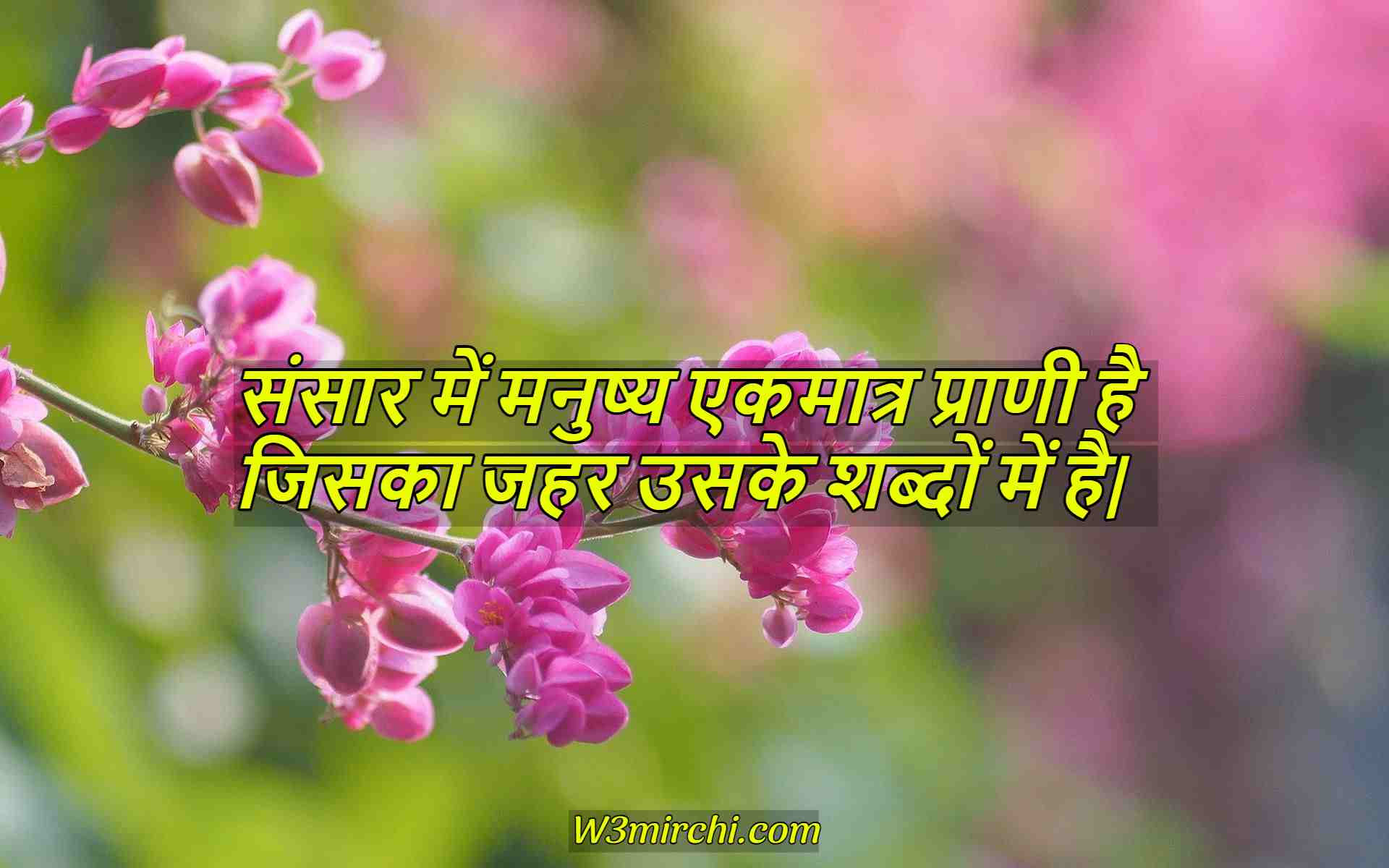 Life Quotes In Hindi Life Quotes In Hindi Life Quotes In Hindi Life Quotes In Hindi